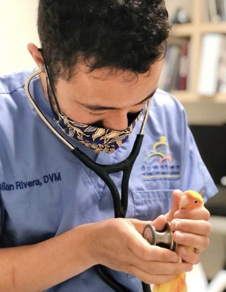 Alumni Spotlight: Julian Rivera, DVM ’18, Staten Island Zoo | Cornell K. Lisa Yang Center for ...